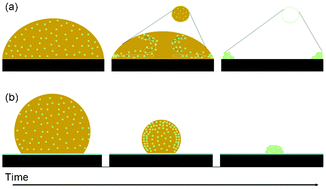 Generation of the smallest coffee-ring structures by solute ...