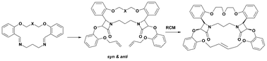 Sequential Staudinger ketene–imine cycloaddition, RCM approach to polycyclic macrocyclic ...