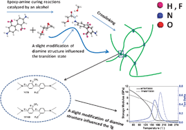 The curing and thermal transition behavior of epoxy resin: a molecular ...