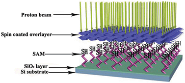 Construction of cross-linked polymer films covalently attached on ...