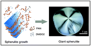 Centimeter-scale giant spherulites in mixtures of polar polymers and ...