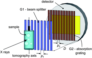 X-ray grating-based phase tomography for 3D histology - RSC Advances ...
