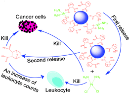 Sequential drug release for synergistic cancer treatment and immunity ...