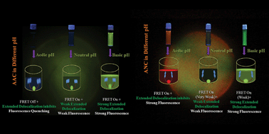 A FRET operated sensor for intracellular pH mapping: strategically ...