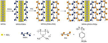 Layer-by-layer self-assembly of PDDA/PSS-SPFEK composite membrane with ...