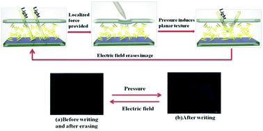 Polymer network microstructures and electro-optical properties of a ...