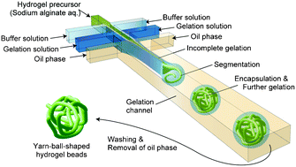 A droplet-based microfluidic process to produce yarn-ball-shaped ...