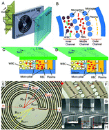 Multi-component continuous separation chip composed of micropillar ...