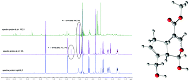 Structure of genipin in solution: a combined experimental and ...