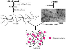 Renewable catalyst with Cu nanoparticles embedded into cellulose nano ...