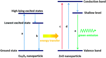 Eu2O3-functionalized ZnO/palygorskite - RSC Advances (RSC Publishing)