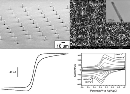 Microelectrode arrays based on carbon nanomaterials: emerging ...