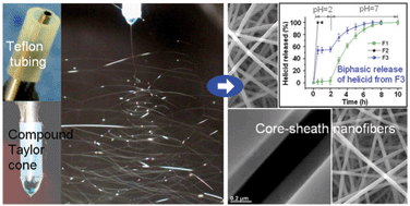 Coaxial electrospinning using a concentric Teflon spinneret to prepare ...