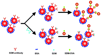 Immuno-driven plasmonic oligomer sensor for the ultrasensitive ...