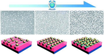 Gold nanoparticle arrays assembled on the reconstructed surface of ...