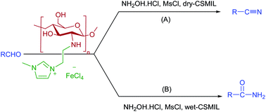 Chitosan supported ionic liquid: a recyclable wet and dry catalyst for ...