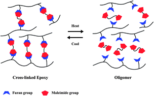 Investigation of the thermal self-healing mechanism in a cross-linked ...