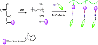 Tailor-made polymethacrylate bearing bicyclo-alkenyl functionality via ...