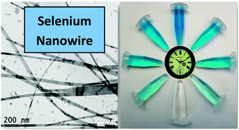 A facile synthesis of 1D nano structured selenium and Au decorated nano ...