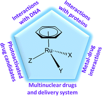Multifaceted half-sandwich arene–ruthenium complexes: interactions with ...