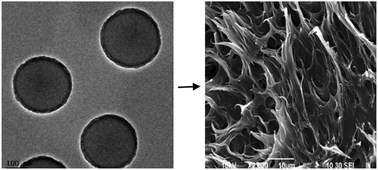 Preparation of a functionalized core–shell structured polymer by seeded ...