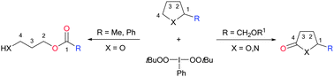 Oxidative transformation of cyclic ethers/amines to lactones/lactams ...