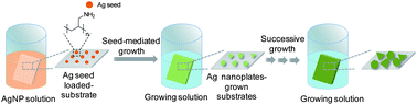 Surface confined successive growth of silver nanoplates on a solid ...
