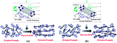 Influence of surface polarity of carbon nanotubes on electric field induced aligned conductive ...
