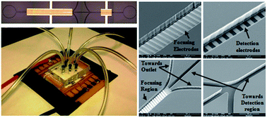 A micromachined impedance biosensor for accurate and rapid detection of ...