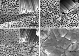 Effects of amorphous and crystalline MoO3 coatings on the Li-ion ...