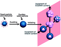 Popcorn-like morphology of asymmetric nanoparticles co-adjusted by ...