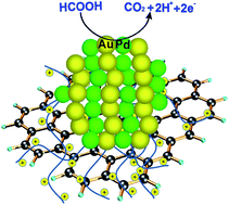 Highly active Pd and Pd–Au nanoparticles supported on functionalized ...