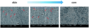 Improved performance balance of polyethylene by simultaneously forming ...
