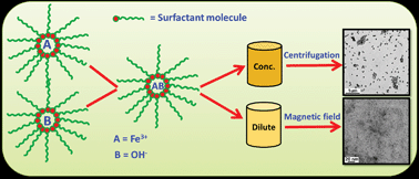 Single crystalline magnetite, maghemite, and hematite nanoparticles ...