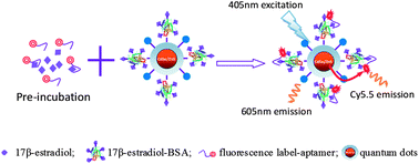Fluorescence resonance energy transfer based aptasensor for the sensitive and selective ...