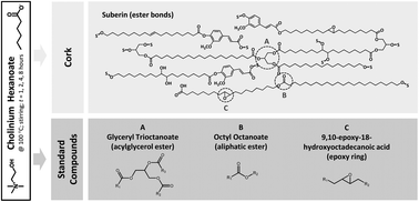 Unveiling the dual role of the cholinium hexanoate ionic liquid as ...