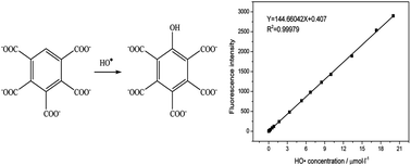 The quantitative detection of HO˙ generated in a high temperature H2O2 ...