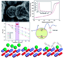 Enhanced photocatalytic performance of sensitized mesoporous TiO2 ...