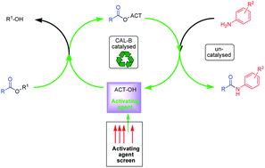 Towards a sustainable synthesis of aniline-derived amides using an ...