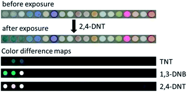 A patterned colorimetric sensor array for rapid detection of TNT at ppt ...