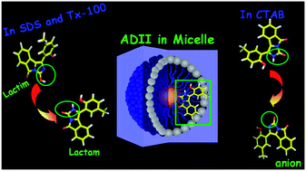 Differential modulation of lactim–lactam tautomerism process of an ...