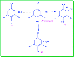Reaction mechanism and kinetics of the degradation of bromoxynil ...