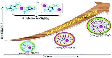 Quantitative and qualitative analysis of ionic solvation of individual ...