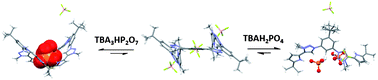 A pyrrole-based triazolium-phane with NH and cationic CH donor groups as a receptor for ...