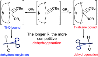 Understanding the competitive dehydroalkoxylation and dehydrogenation ...