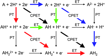 Theory of multiple proton–electron transfer reactions and its ...