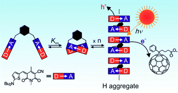 Enhanced photocurrent generation by folding-driven H-aggregate ...