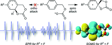 Rapid and selective spiro-cyclisations of O-centred radicals onto ...