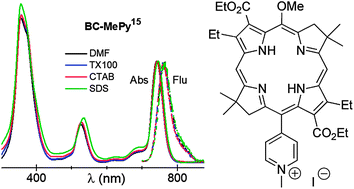 Amphiphilic chlorins and bacteriochlorins in micellar environments. Molecular design, de novo ...