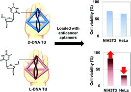 Utilizing the bioorthogonal base-pairing system of l-DNA to design ideal DNA nanocarriers for ...